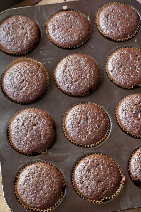 Chocolate Buttermilk Olive Oil Cupcakes | The Adventure Bite
