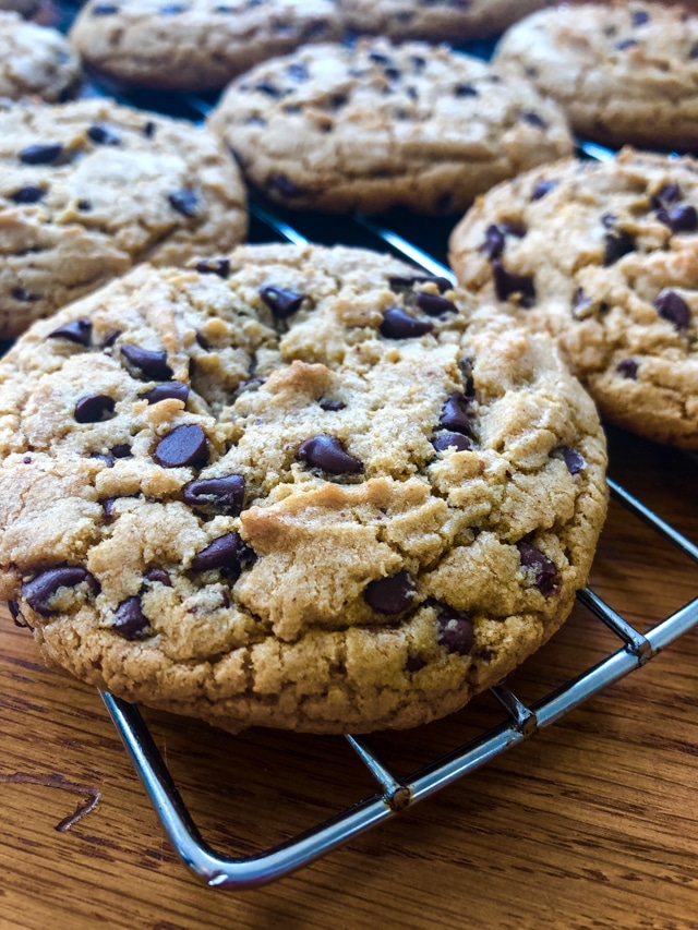 33+ Easy Holiday Cookie Recipes | The Adventure Bite